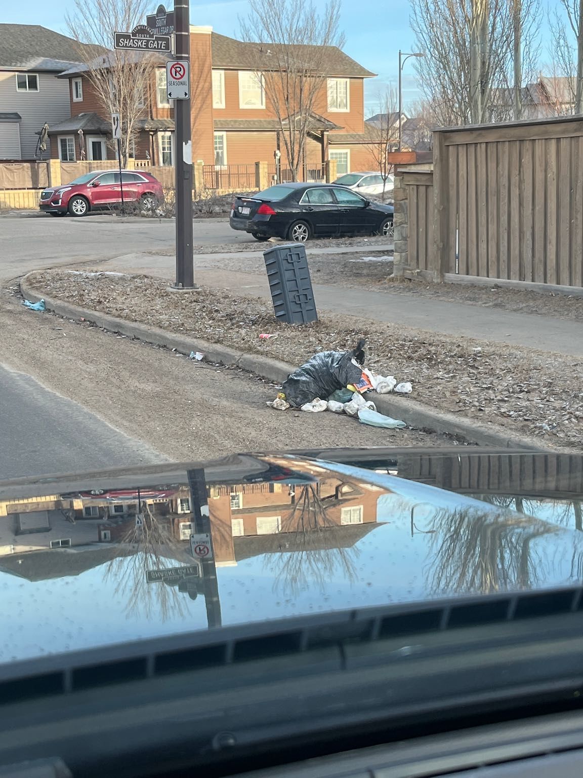 Edmonton 311