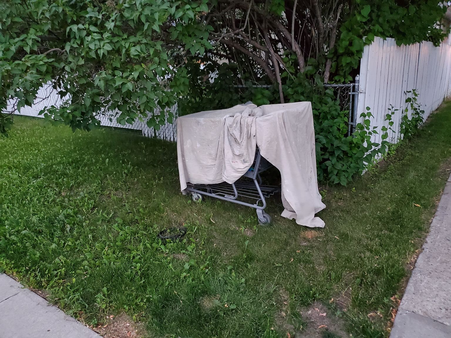 Edmonton 311