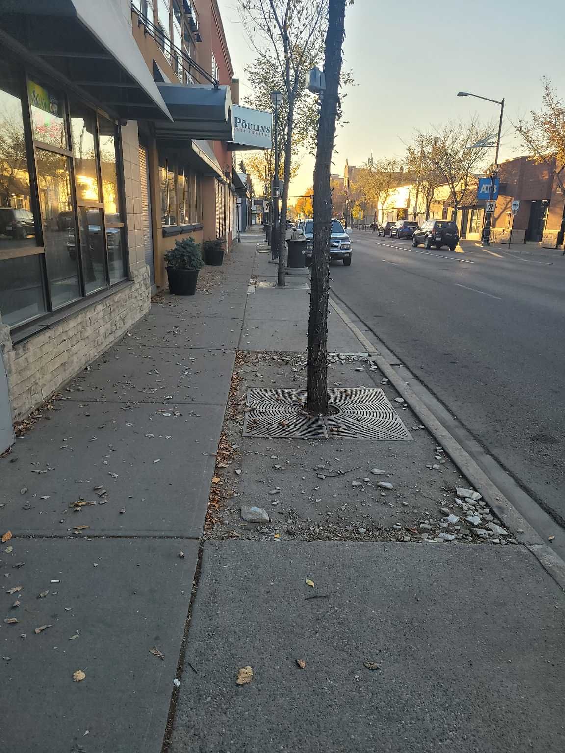Edmonton 311