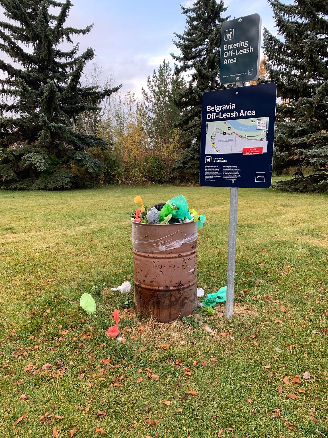 Edmonton 311
