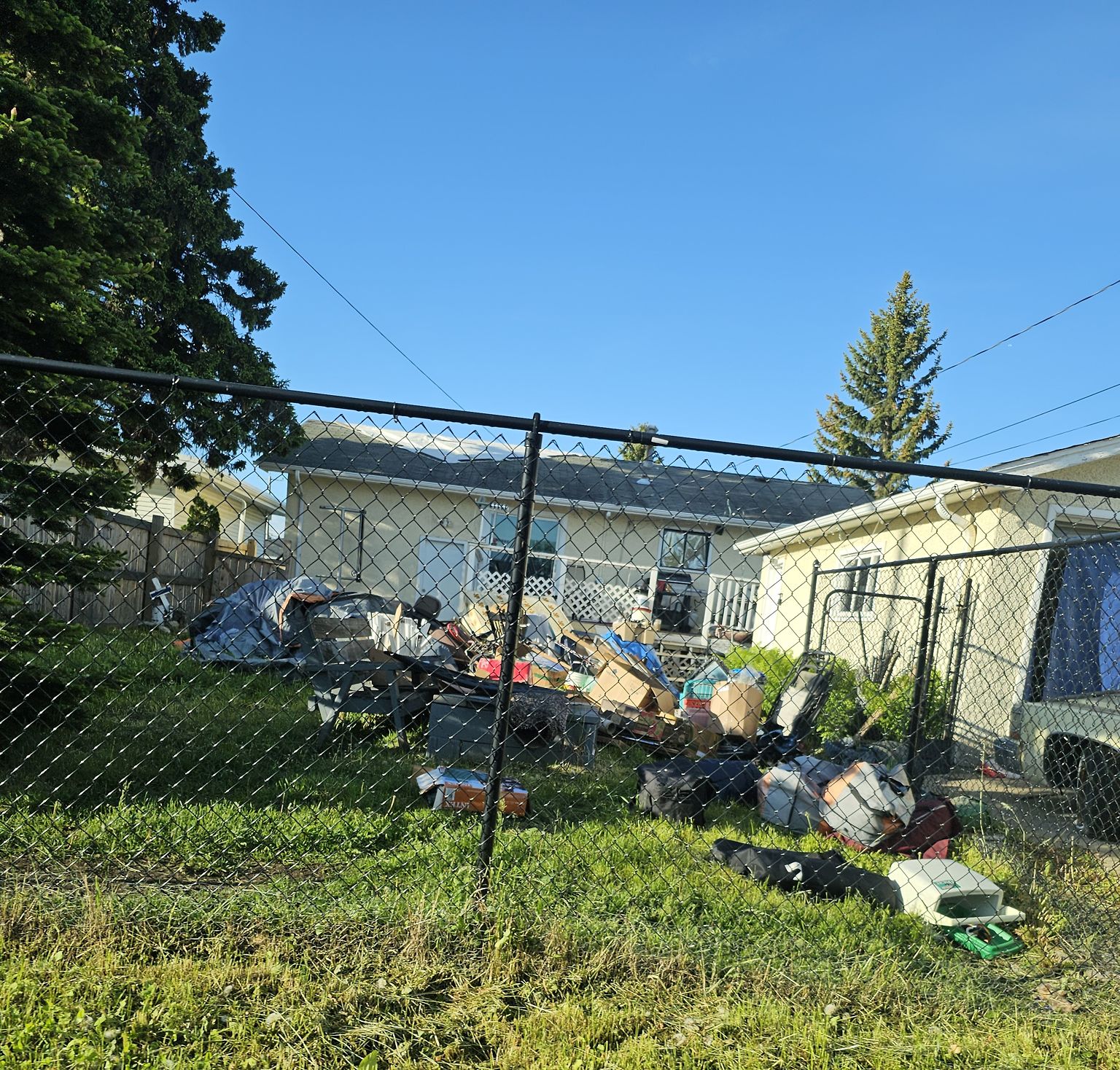 Edmonton 311